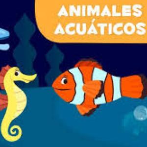 Animales acuáticos - Duchazos - Juego educativo - Ciencias - Mobbyt