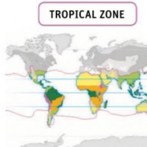 Geografía: TROPICAL ZONE