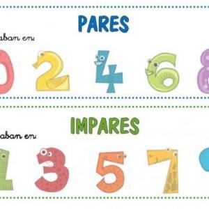 Números Pares e Impares - Ocas - Juego educativo - Matemáticas - Mobbyt
