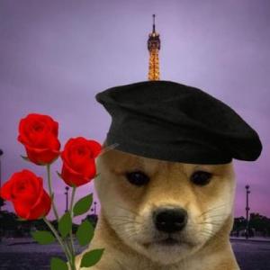 Mente de pollo ? - Memorias - Juego educativo - Música - Mobbyt