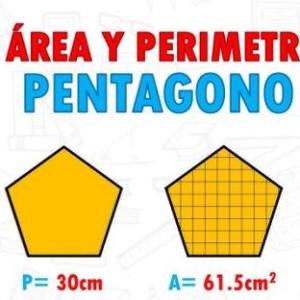 Perimetro y área - Trivias - Juego educativo - Matemáticas - Mobbyt