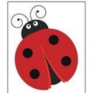 How many spots do you see? - Trivias - Juego educativo - Idiomas - Mobbyt