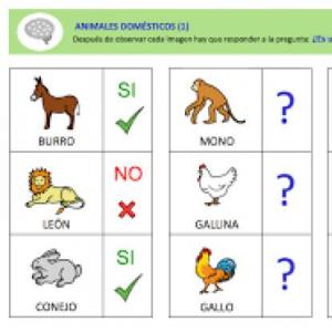 Encuentra Los Animales Domesticos - Memorias - Juego educativo ...