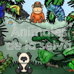 La selva y yo - Memorias - Juego educativo - Ciencias - Mobbyt