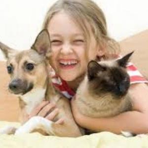 LOS DOS PERROS Y EL GATO - Memorias - Juego educativo - Lengua - Mobbyt