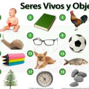 SERES VIVOS Y NO VIVOS - Ocas - Juego educativo - Ciencias - Mobbyt