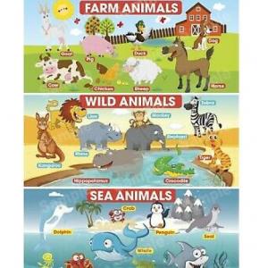 Farm, wild and sea animals - Coincidencias - Juego educativo - Ciencias ...