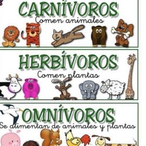 Animales Carnívoros, Herbívoros, Omnívoros - Trivias - Juego educativo ...