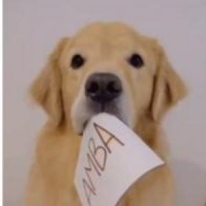 MILO, EL PERRO TIKTOKERO - Coincidencias - Juego educativo - Lengua ...