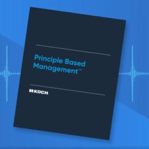 PRINCIPLE BASED MANAGEMENT - Ocas - Juego educativo - Empresariado - Mobbyt