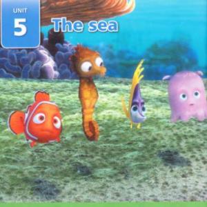 Idiomas: SEA ANIMALS MEMORY GAME - ENGLISH SEA ANIMALS