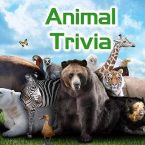 TRIVIA ANIMAL GAME - Trivias - Juego educativo - Idiomas - Mobbyt