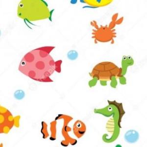 Animales acuaticos - Duchazos - Juego educativo - Medio ambiente - Mobbyt