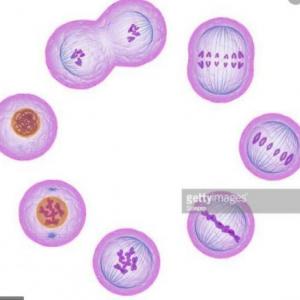 Ari Trejo - Perfil de usuario - Mobbyt