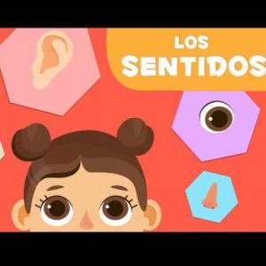Los cinco sentidos - Memorias - Juego educativo - Salud - Mobbyt
