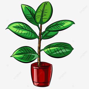 Geydis Cerrud - Perfil de usuario - Mobbyt