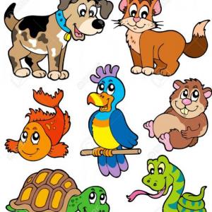 Pets and colours - Multinivel - Juego educativo - Idiomas - Mobbyt