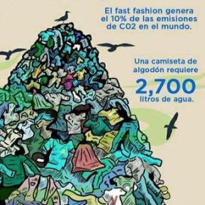 ¿soy de moda rápida o lenta? - Ocas - Juego educativo - Medio ambiente ...