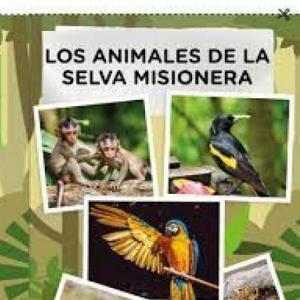 ANIMALES DE LA SELVA MISIONERA - Memorias - Juego educativo - Medio ambiente - Mobbyt