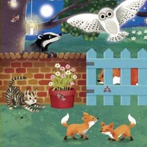 Ciencias: ANIMALES NOCTURNOS