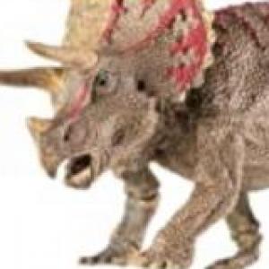 Sonidos perdidos - Duchazos - Juego educativo - Lengua - Mobbyt