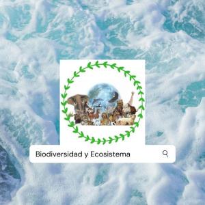 Biodiversidad y Ecosistema - Ocas - Juego educativo - Medio ambiente ...