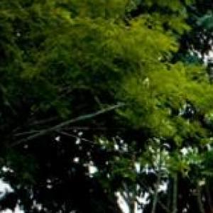 Empresariado: El aprendizaje jeeee - dsfsf