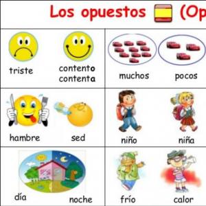 Los opuestos - Ocas - Juego educativo - Actualidad - Mobbyt