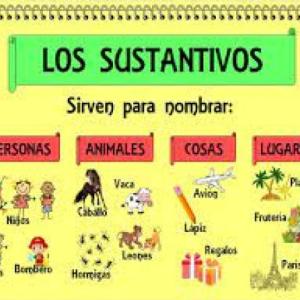 Sustantivos comunes - Ocas - Juego educativo - Lengua - Mobbyt