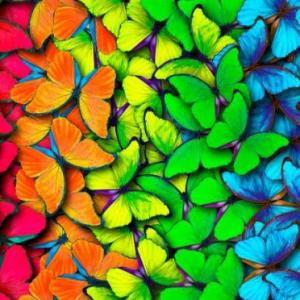 Semántica del color - Coincidencias - Juego educativo - Artes - Mobbyt