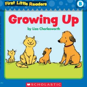 Growing Up - memory game - Memorias - Juego educativo - Idiomas - Mobbyt