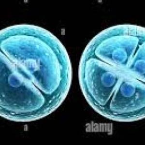 Fase M - Duchazos - Juego educativo - Biología - Mobbyt