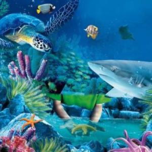 Memorama ecosistema acuático - Memorias - Juego educativo - Cultura ...