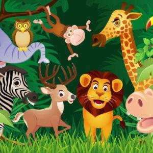 CONOCEMOS LOS ANIMALES DE LA SELVA - Duchazos - Juego educativo ...