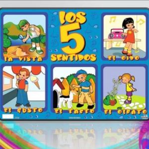 5 sentidos - Memorias - Juego educativo - Salud - Mobbyt