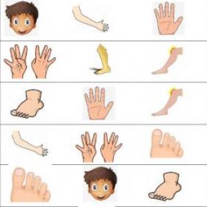 BODY PARTS - Coincidencias - Juego educativo - Idiomas - Mobbyt