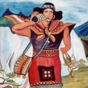 Chasquis. - Memorias - Juego educativo - Ciencias - Mobbyt