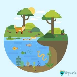 Ecosistemas - Memorias - Juego educativo - Biología - Mobbyt