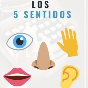 Mis cinco sentidos - Memorias - Juego educativo - Ciencias - Mobbyt