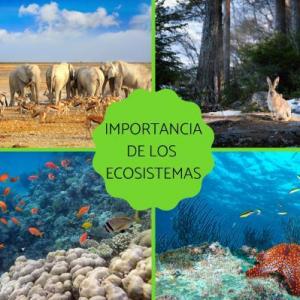 Los ecosistemas - Duchazos - Juego educativo - Geografía - Mobbyt