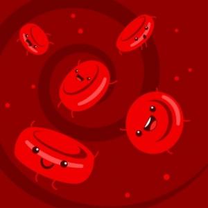 El Juego de los Poiquilocitos - Ocas - Juego educativo - Ciencias - Mobbyt