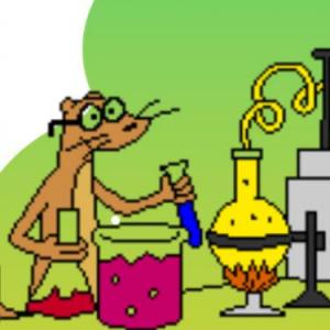 ADIVINA LA PALABRA ESCONDIDA - Duchazos - Juego educativo - Lengua - Mobbyt