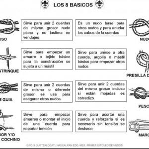 8 Nudos Basicos Scouts - Duchazos - Juego educativo - Medio ambiente - Mobbyt