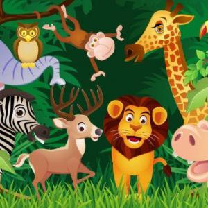 Animales de la selva - Memorias - Juego educativo - Biología - Mobbyt