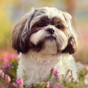 Isabella de la Cruz Renteria - Perfil de usuario - Mobbyt