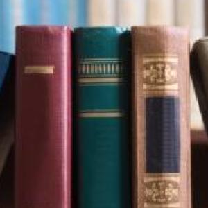 isabel pagán - Perfil de usuario - Mobbyt