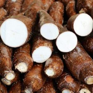 Lengua: Leyenda de la Mandioca