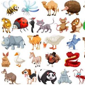 Animaleando - Duchazos - Juego educativo - Lengua - Mobbyt
