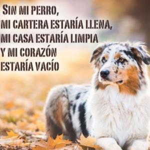 Wanda Whitmore - Perfil de usuario - Mobbyt