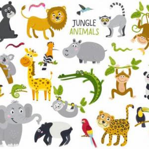Adivina a los animales de la selva - Duchazos - Juego educativo ...